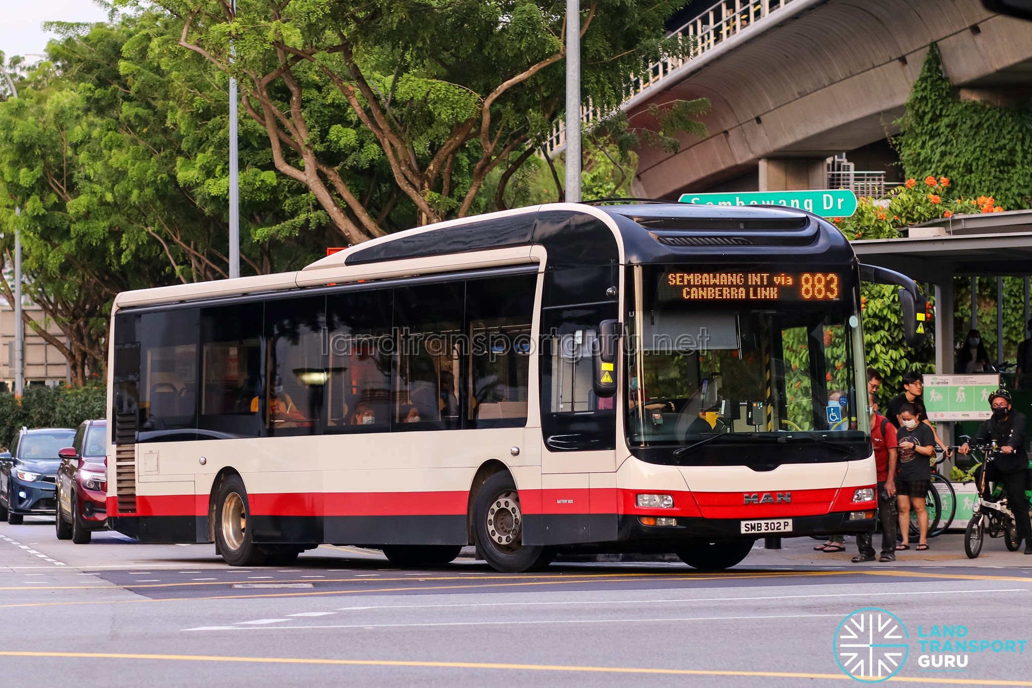 Bus 883 SMRT Buses MAN A22 SMB302P Land Transport Guru