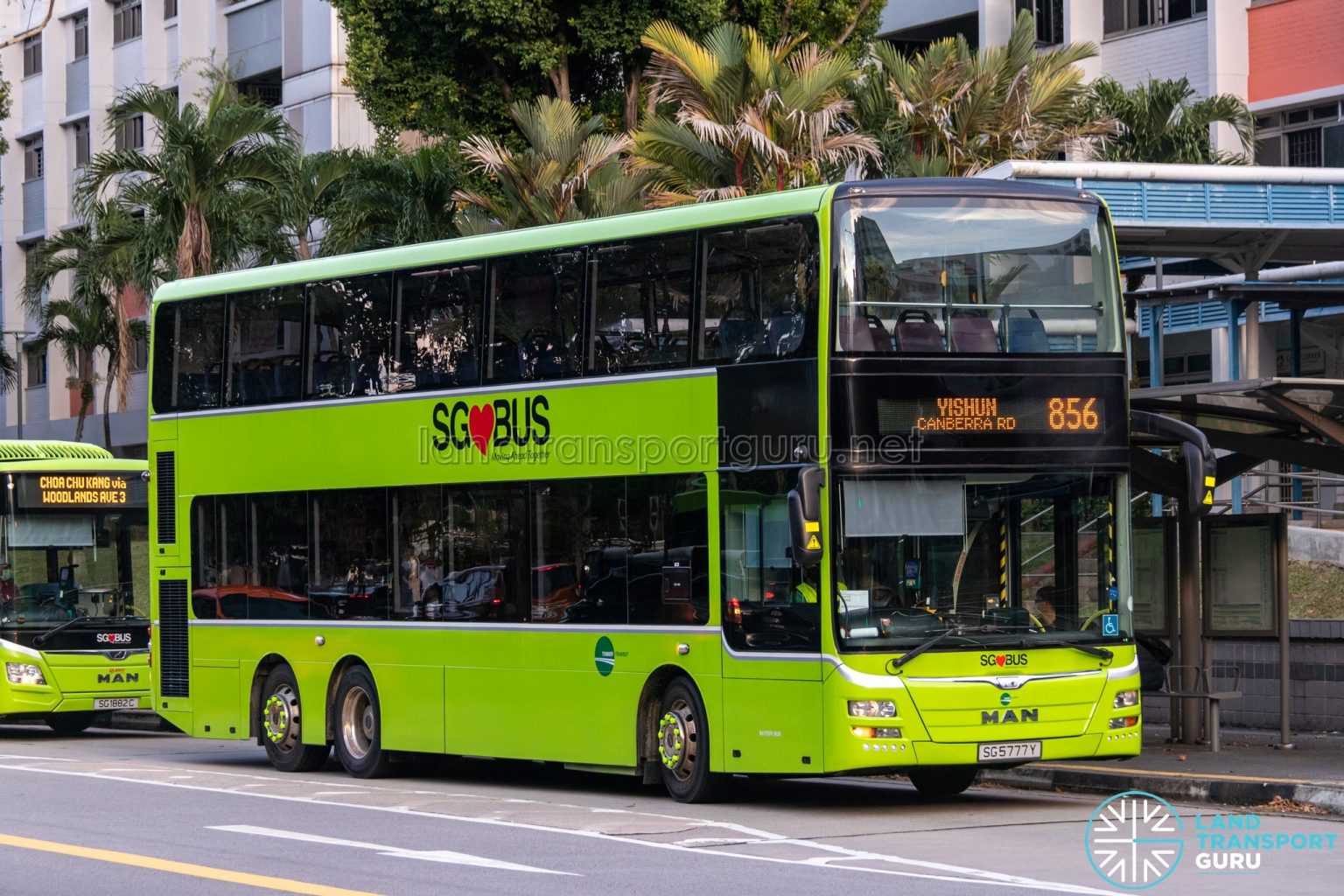Bus 856 – Tower Transit MAN A95 (SG5777Y) | Land Transport Guru