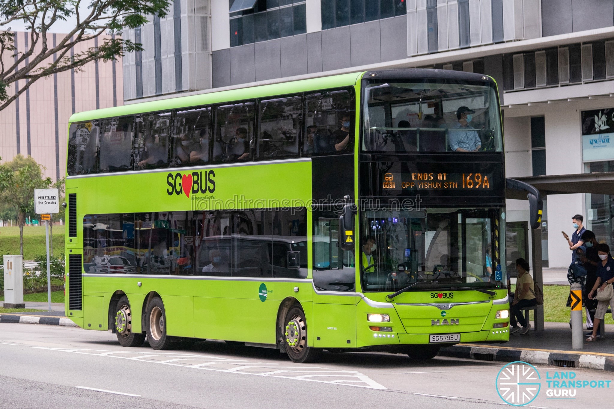 Bus 169A Tower Transit MAN A95 SG5795U Land Transport Guru Bus 169A Tower Transit MAN A95 SG5795U Land Transport Guru