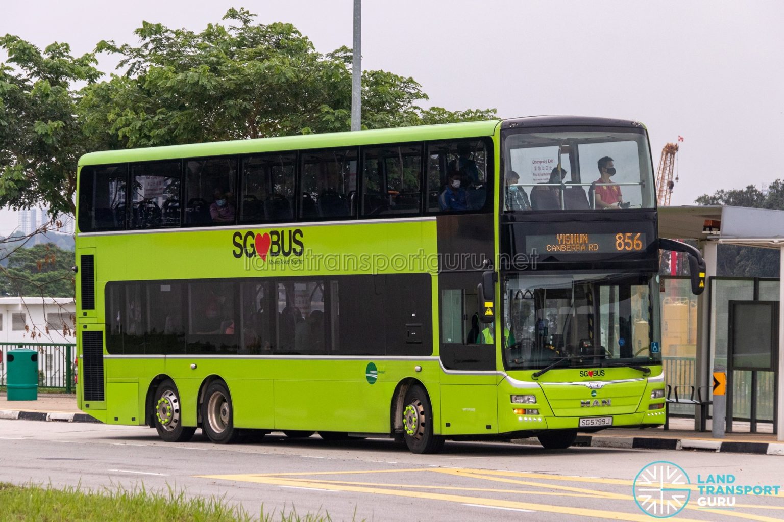 Bus 856 – Tower Transit MAN A95 (SG5799J) | Land Transport Guru