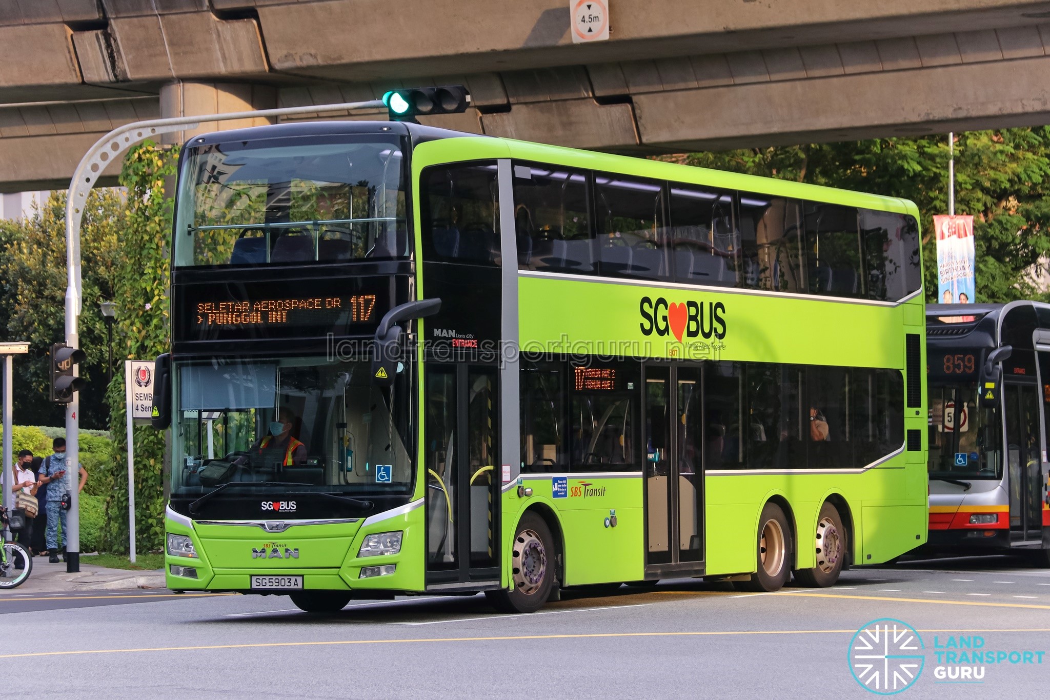 Bus 117 SBS Transit MAN A95 SG5903A Land Transport Guru Bus 117 SBS Transit MAN A95 SG5903A Land Transport Guru