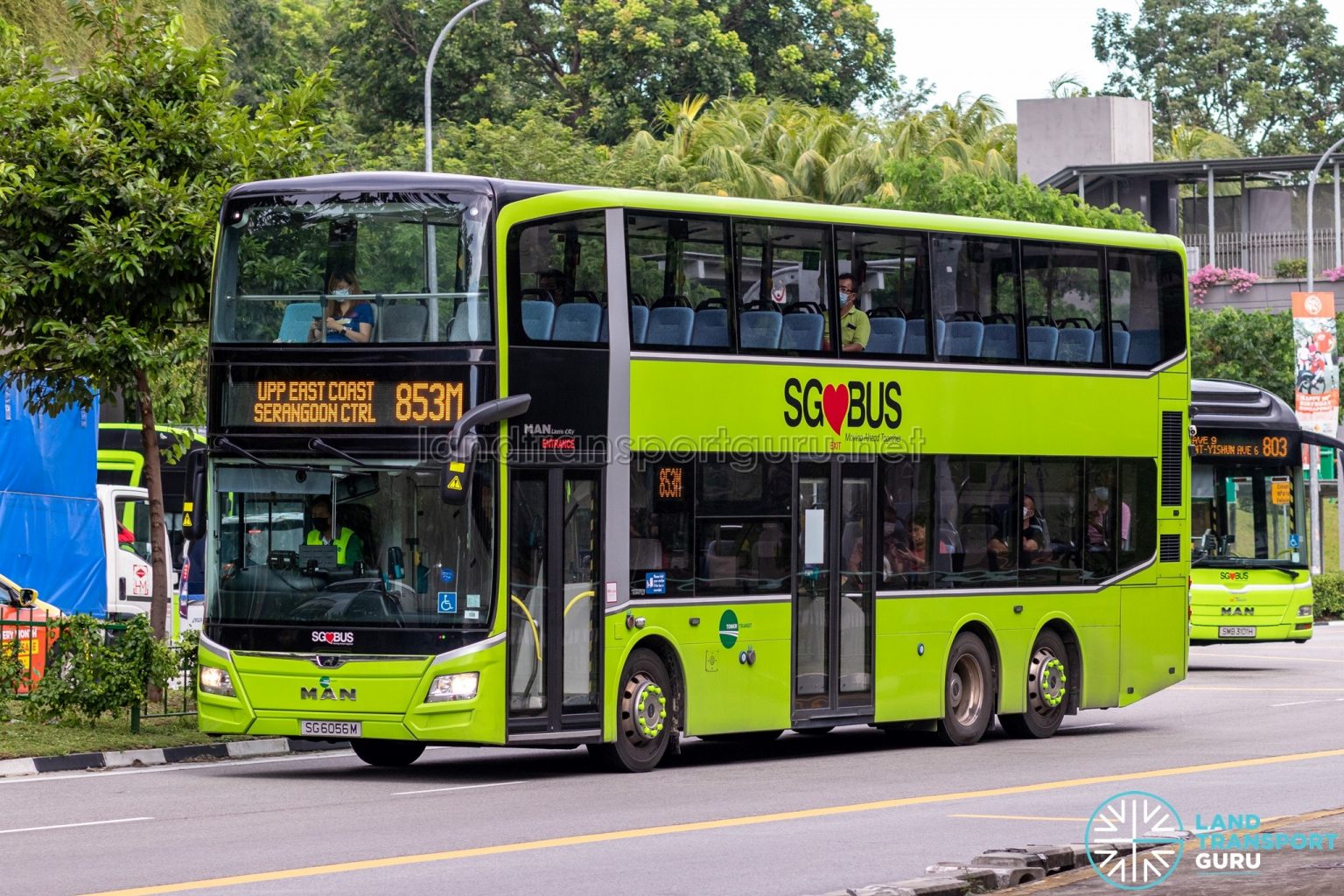 Bus 853M – Tower Transit MAN A95 Euro 6 (SG6056M) | Land Transport Guru