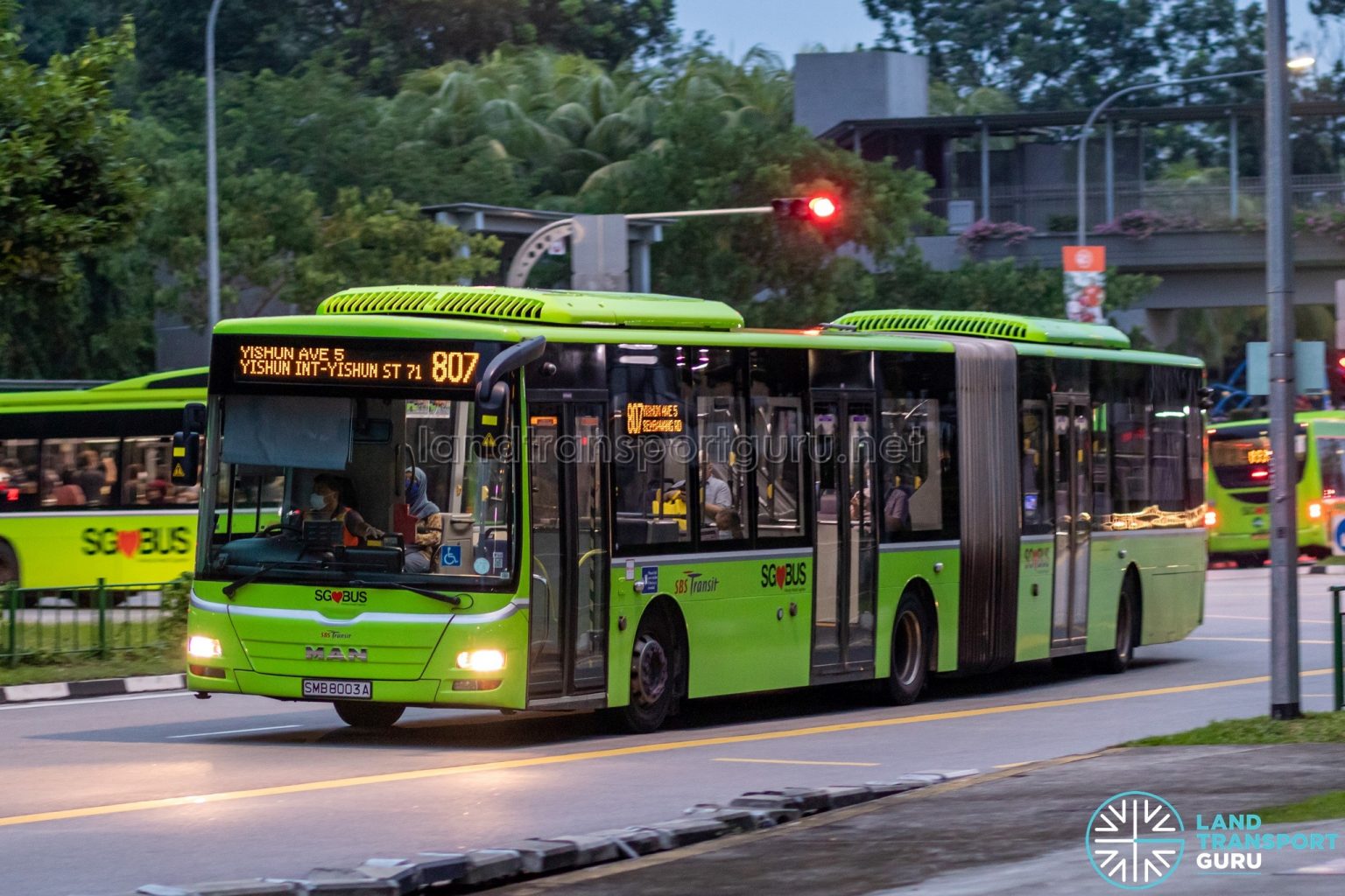 Bus 807 – SBS Transit MAN A24 (SMB8003A) | Land Transport Guru