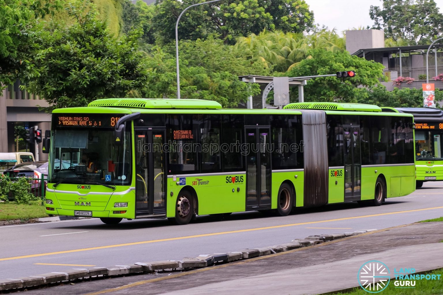 Bus 811 – SBS Transit MAN A24 (SMB8009J) | Land Transport Guru