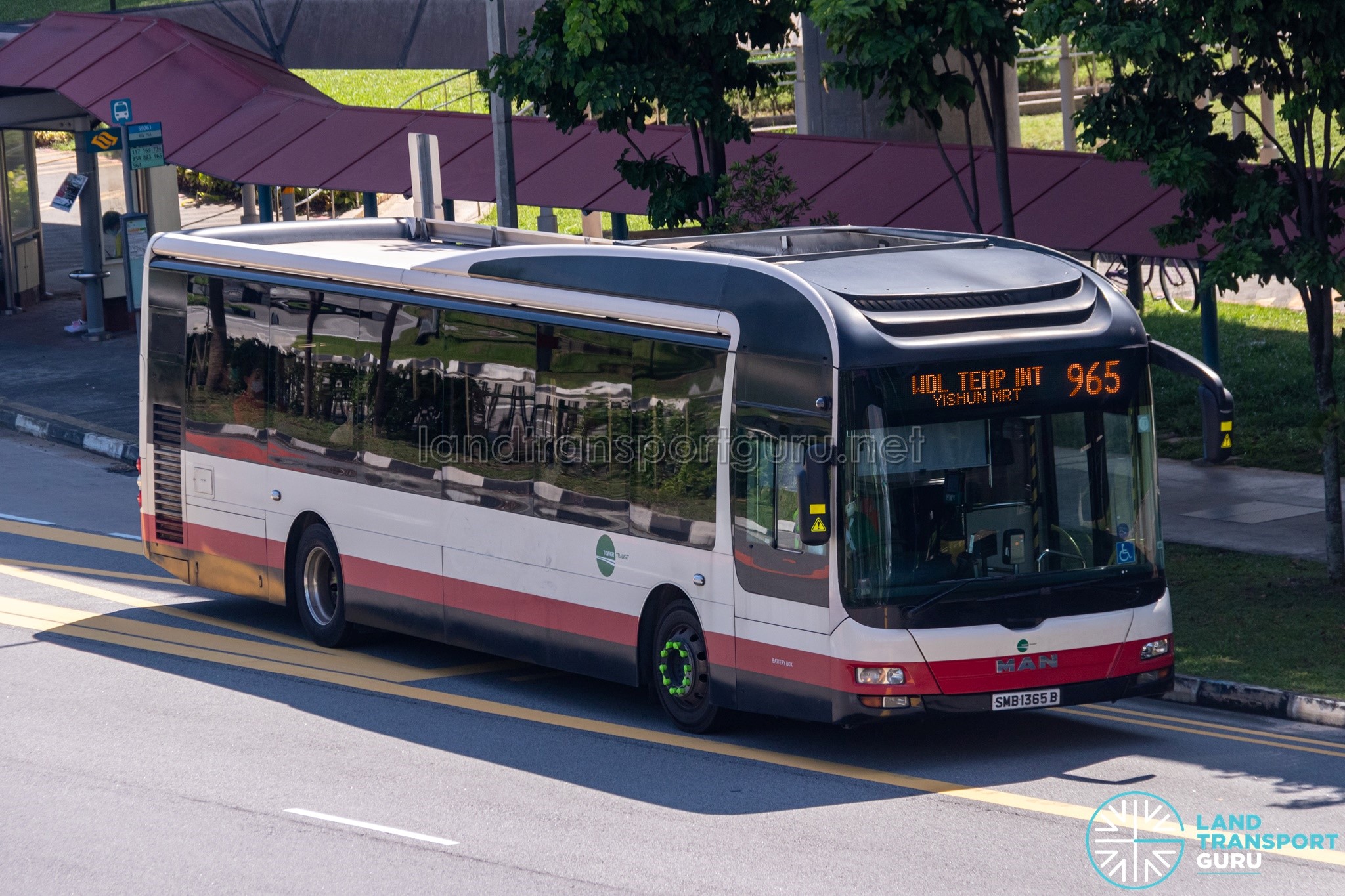 Bus 965 Tower Transit MAN A22 SMB1365B Land Transport Guru