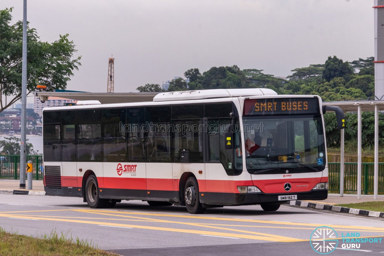 SMRT Buses Mercedes-Benz Citaro (SMB182T) | Land Transport Guru