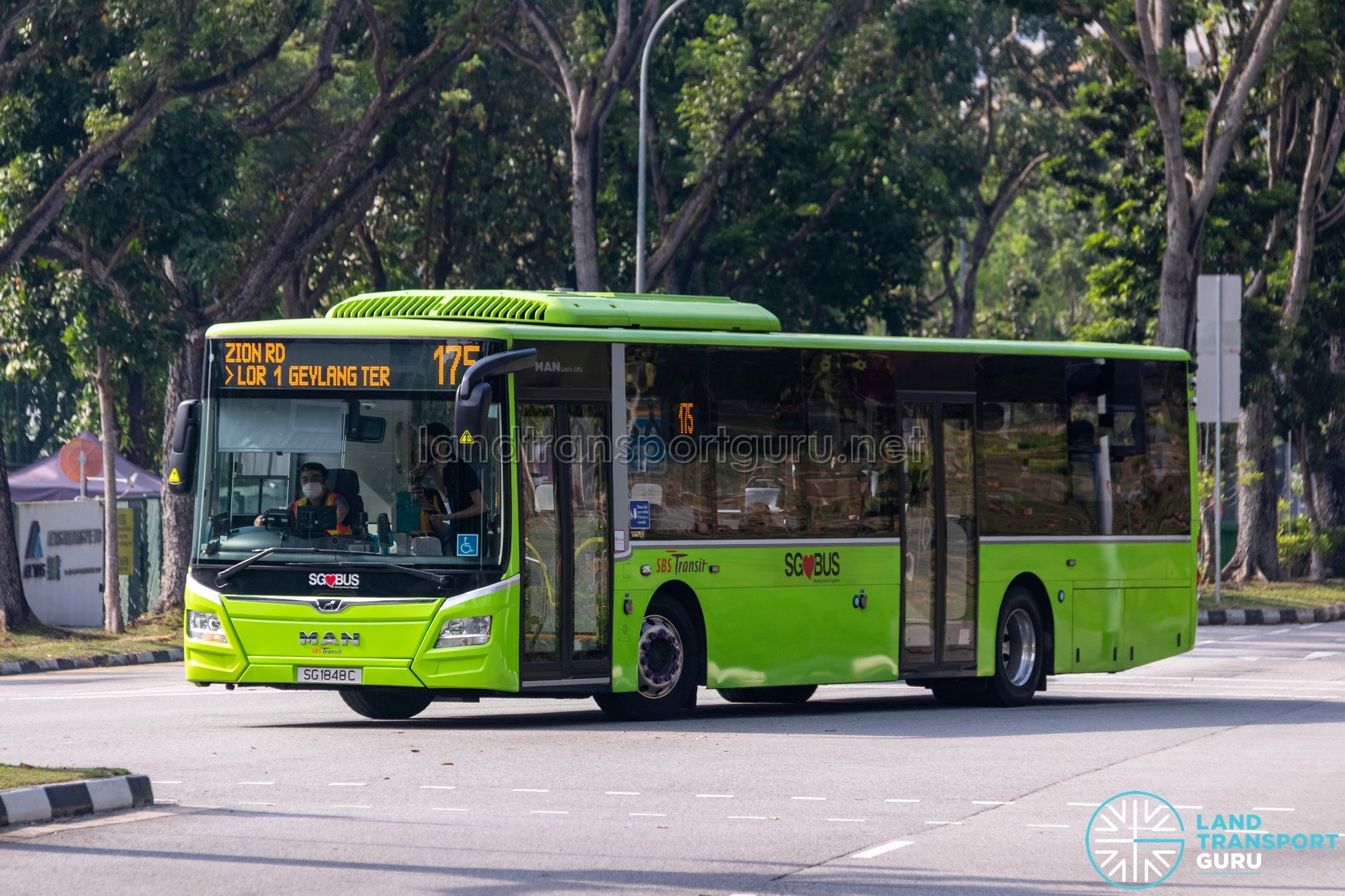 Bus 175 SBS Transit MAN A22 Euro 6 SG1848C Land Transport Guru Bus 175 SBS Transit MAN A22 Euro 6 SG1848C Land Transport Guru