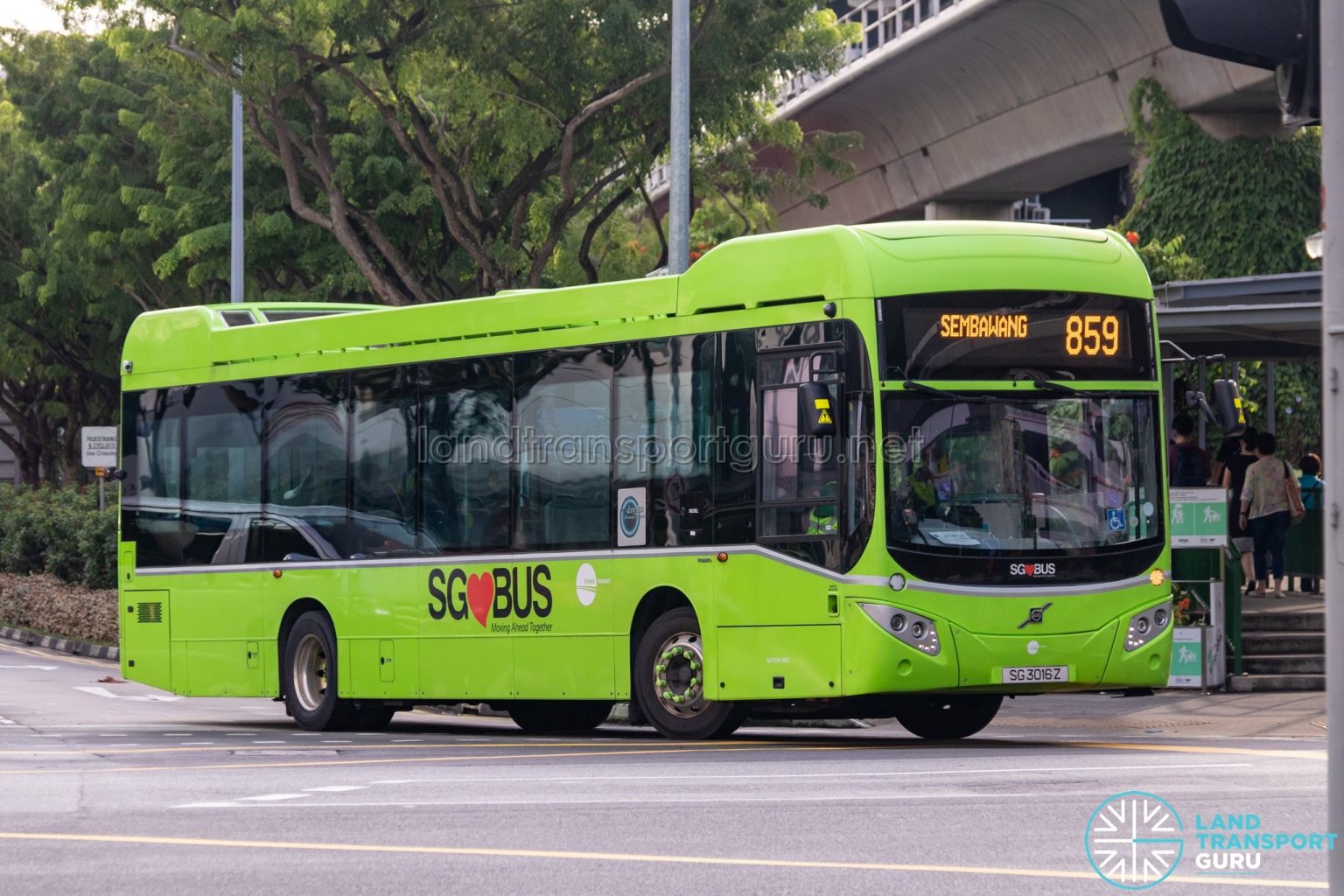 Bus 859 – Tower Transit Volvo B5LH (SG3016Z) | Land Transport Guru