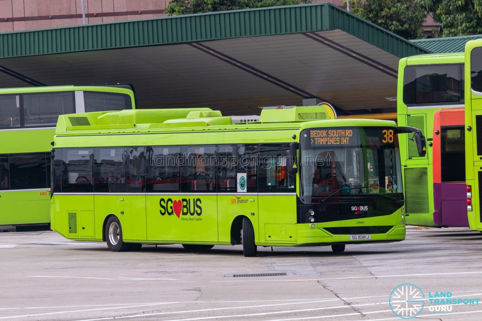 Bus 38 – SBS Transit Linkker LM312 (SG3081J) | Land Transport Guru
