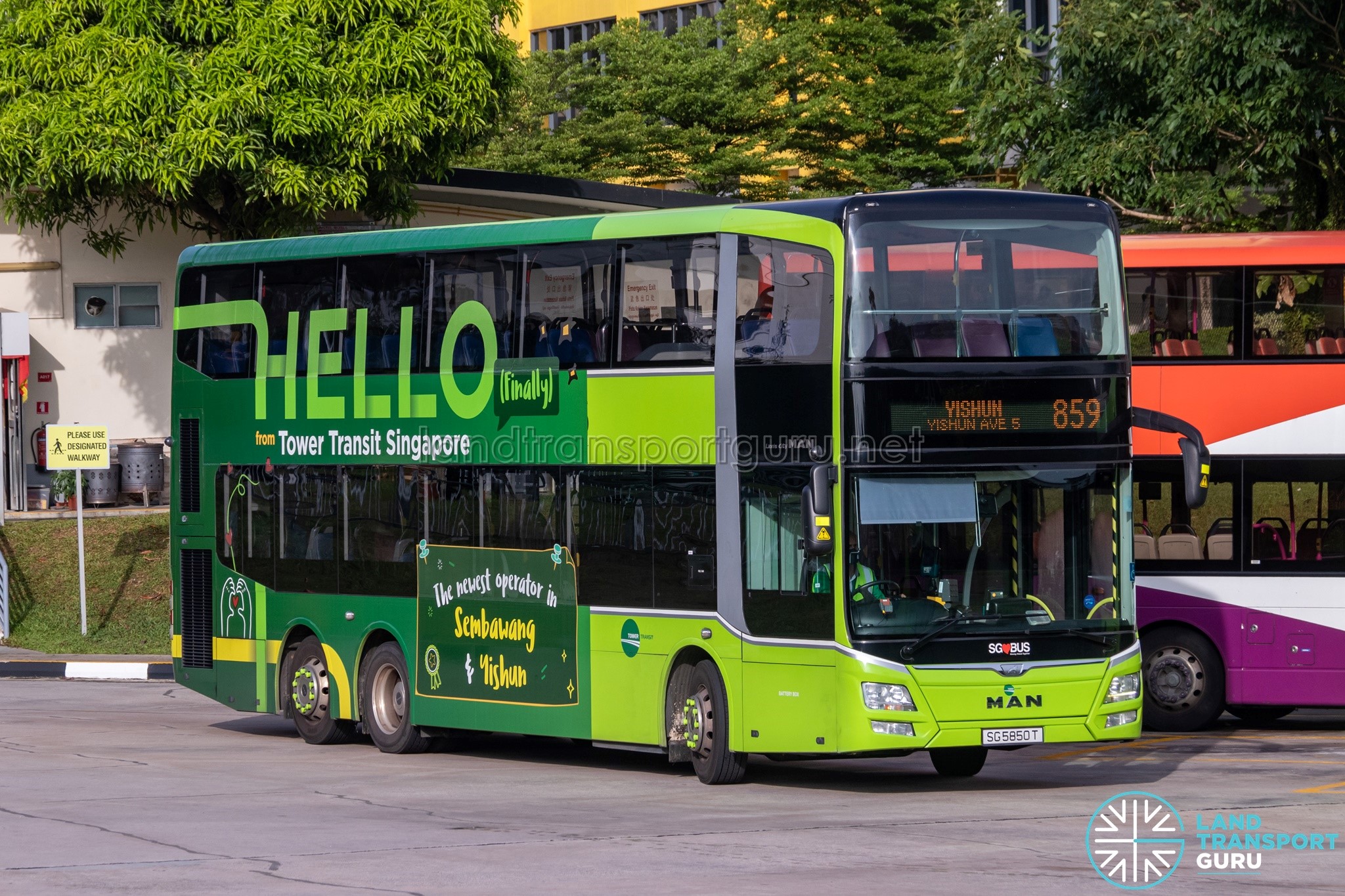 Bus 859 Tower Transit MAN A95 SG5850T Land Transport Guru Bus 859 Tower Transit MAN A95 SG5850T Land Transport Guru