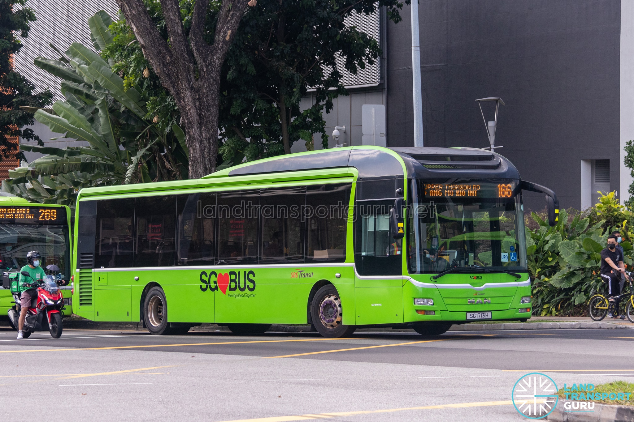 Bus 166 SBS Transit MAN A22 SG1713H Land Transport Guru Bus 166 SBS Transit MAN A22 SG1713H Land Transport Guru