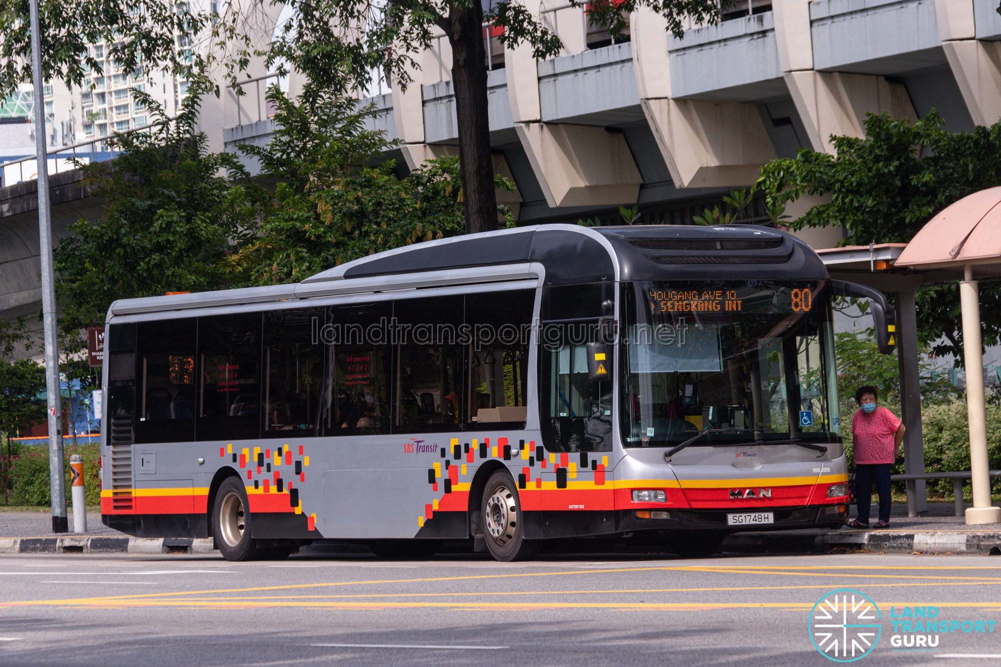 Bus 80 SBS Transit MAN A22 SG1748H Land Transport Guru