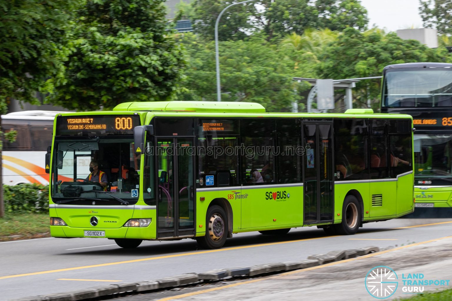 Bus 800 – SBS Transit Mercedes-Benz Citaro (SG1102X) | Land Transport Guru