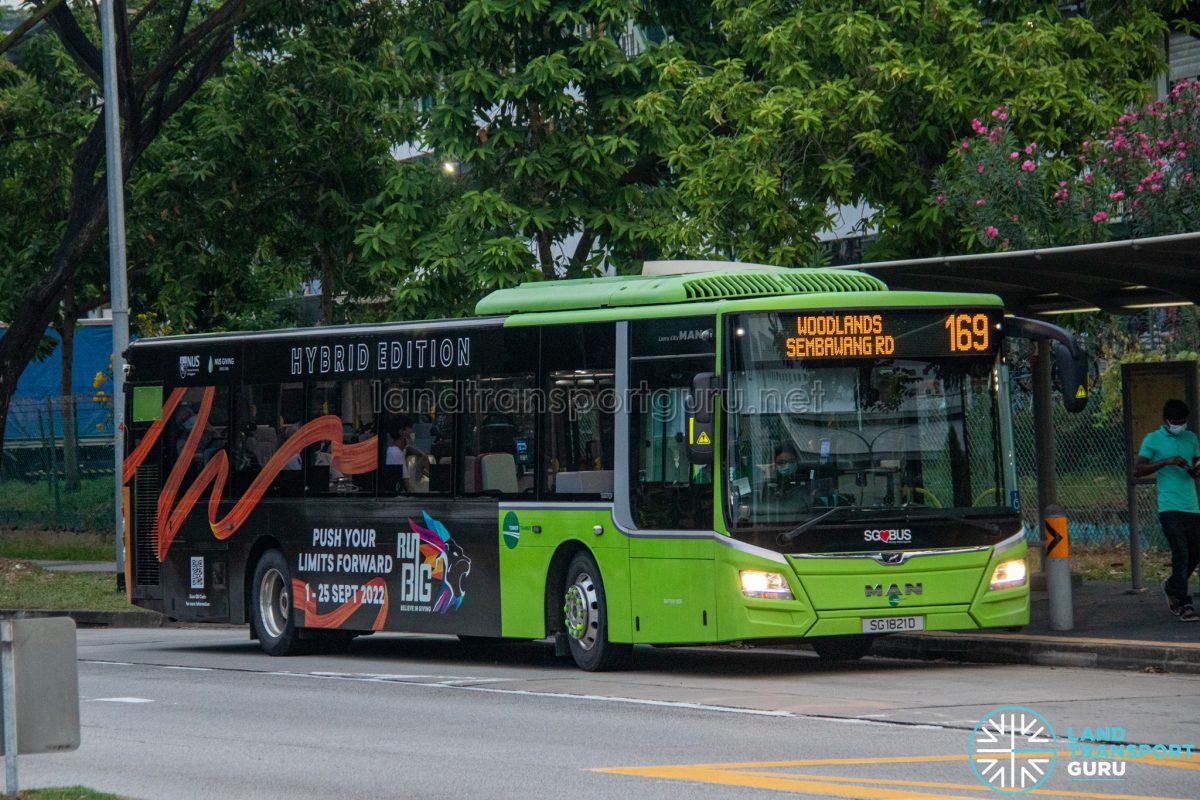 Bus 169 – Tower Transit MAN A22 Euro 6 (SG1821D) | Land Transport Guru