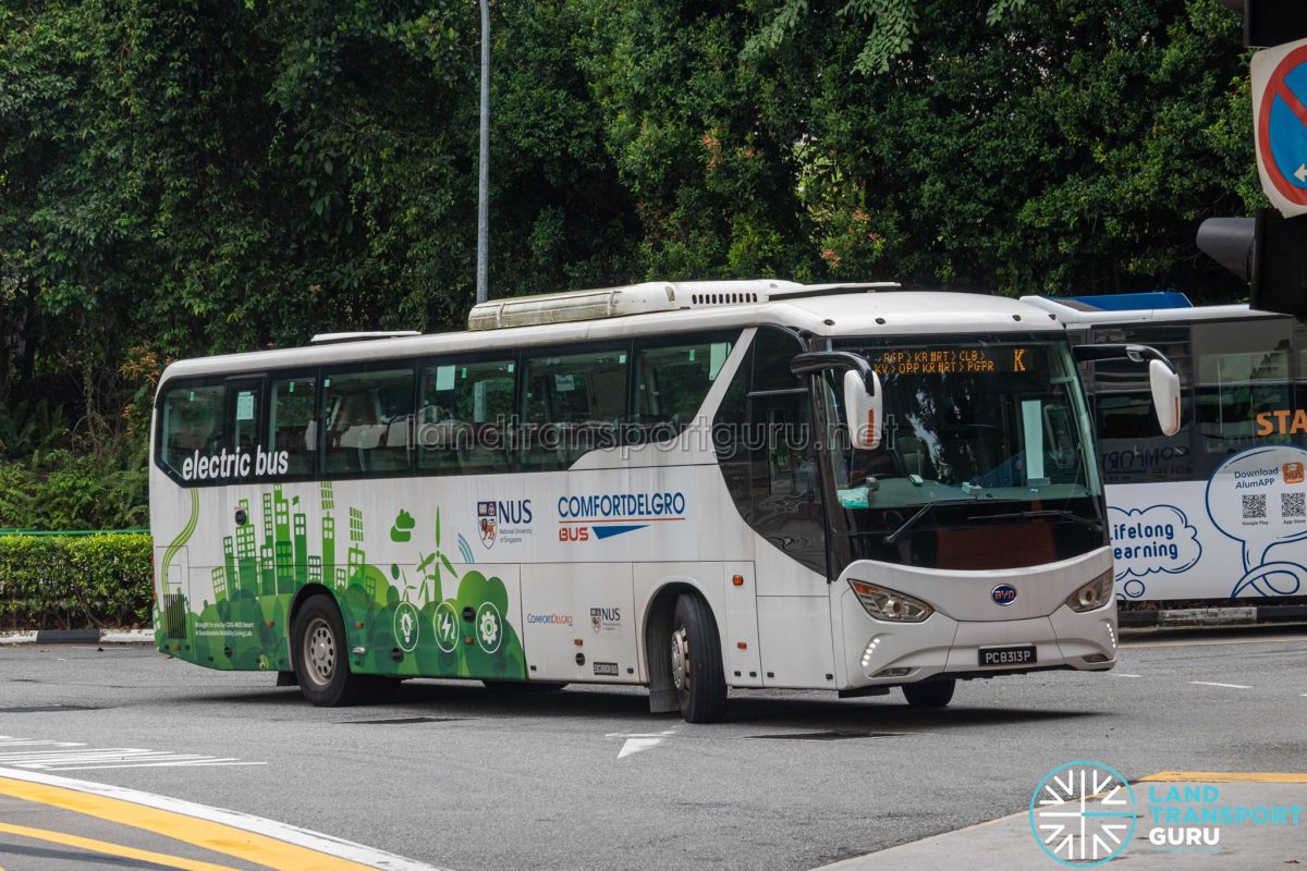 NUS ISB K – ComfortDelGro Bus BYD C9 (PC8313P) | Land Transport Guru