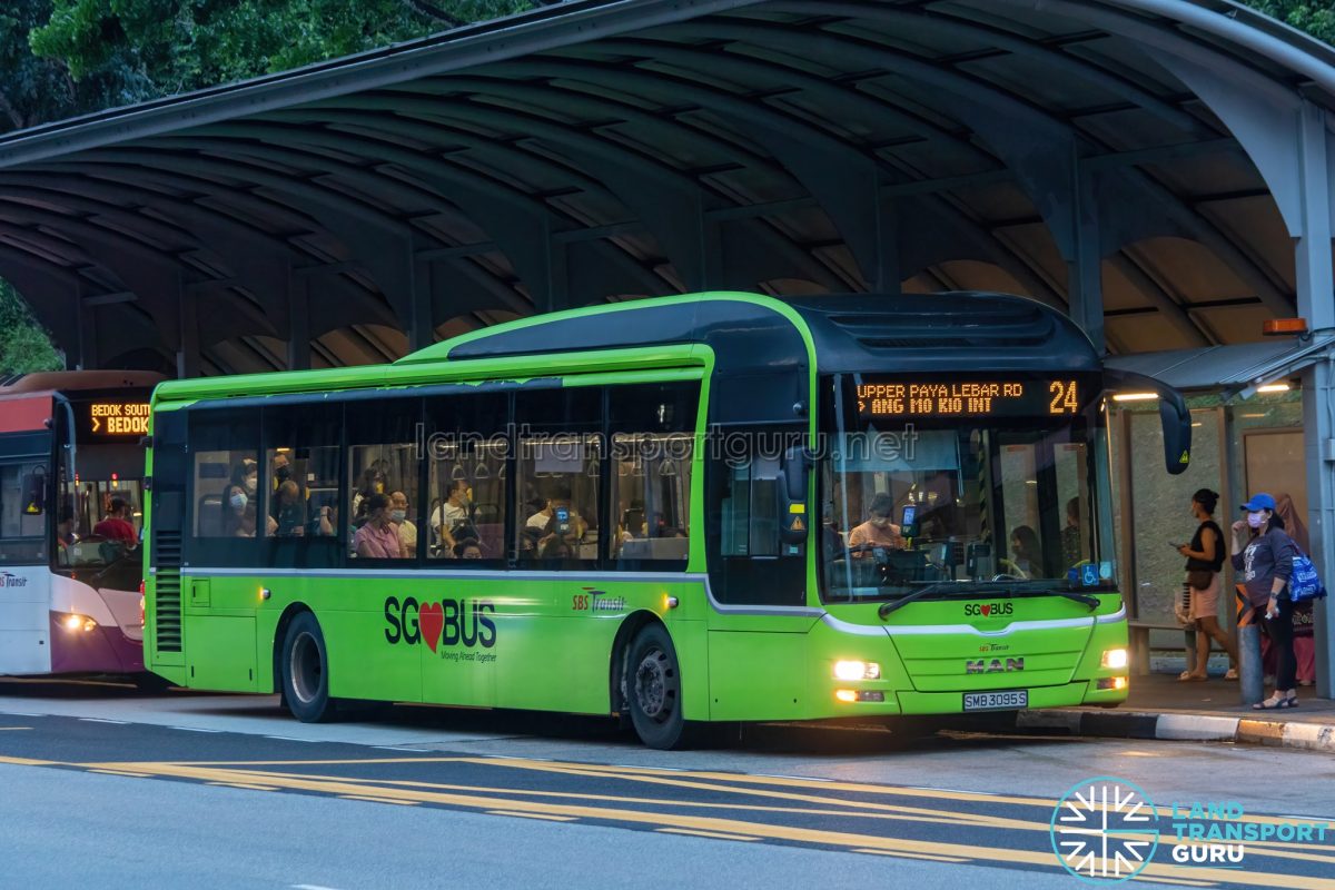 Bus 24 – SBS Transit MAN A22 (SMB3095S) | Land Transport Guru