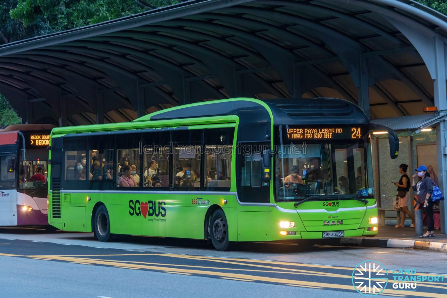 Bus 24 – SBS Transit MAN A22 (SMB3095S) | Land Transport Guru