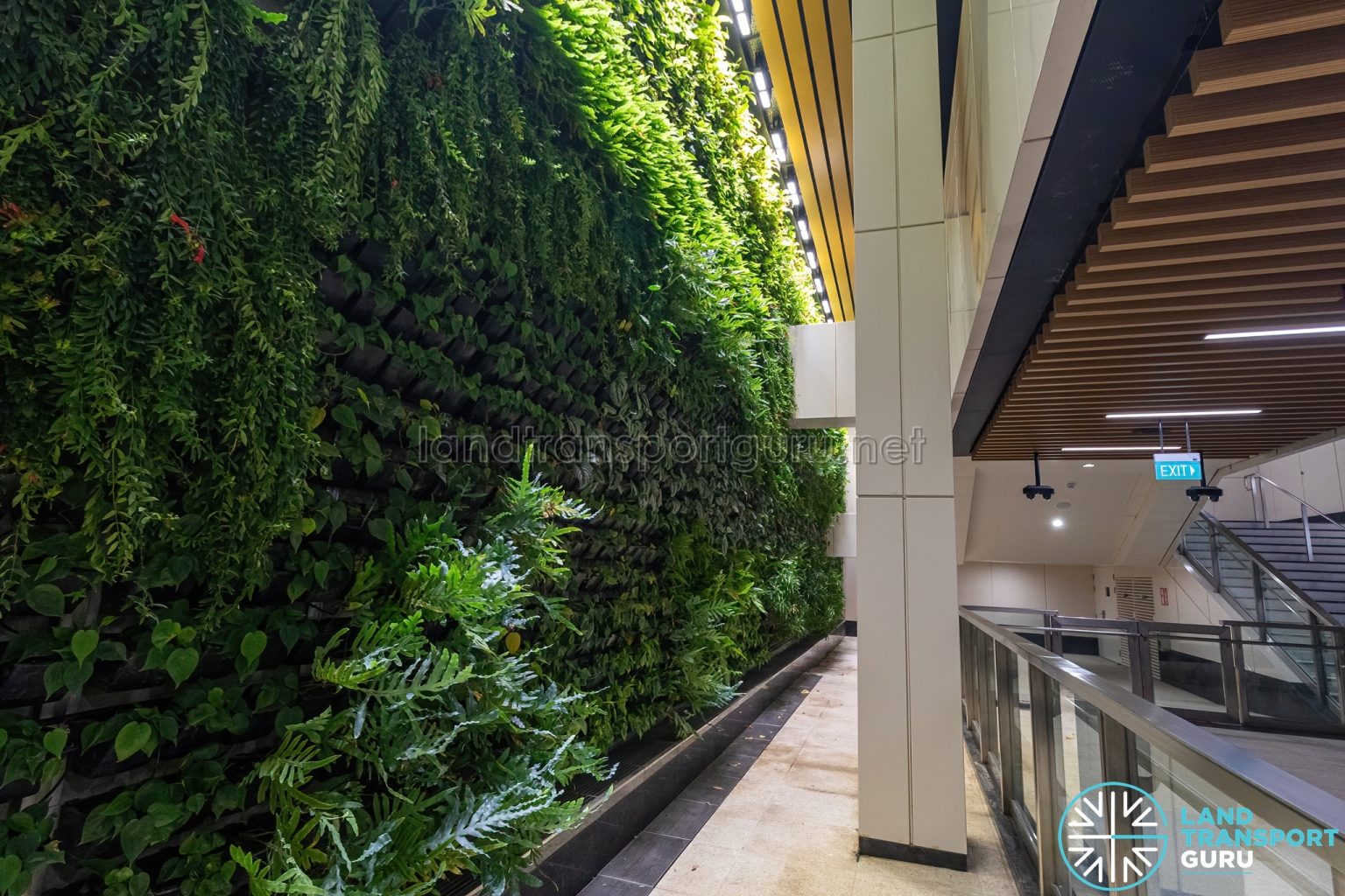 Napier MRT Station | Land Transport Guru