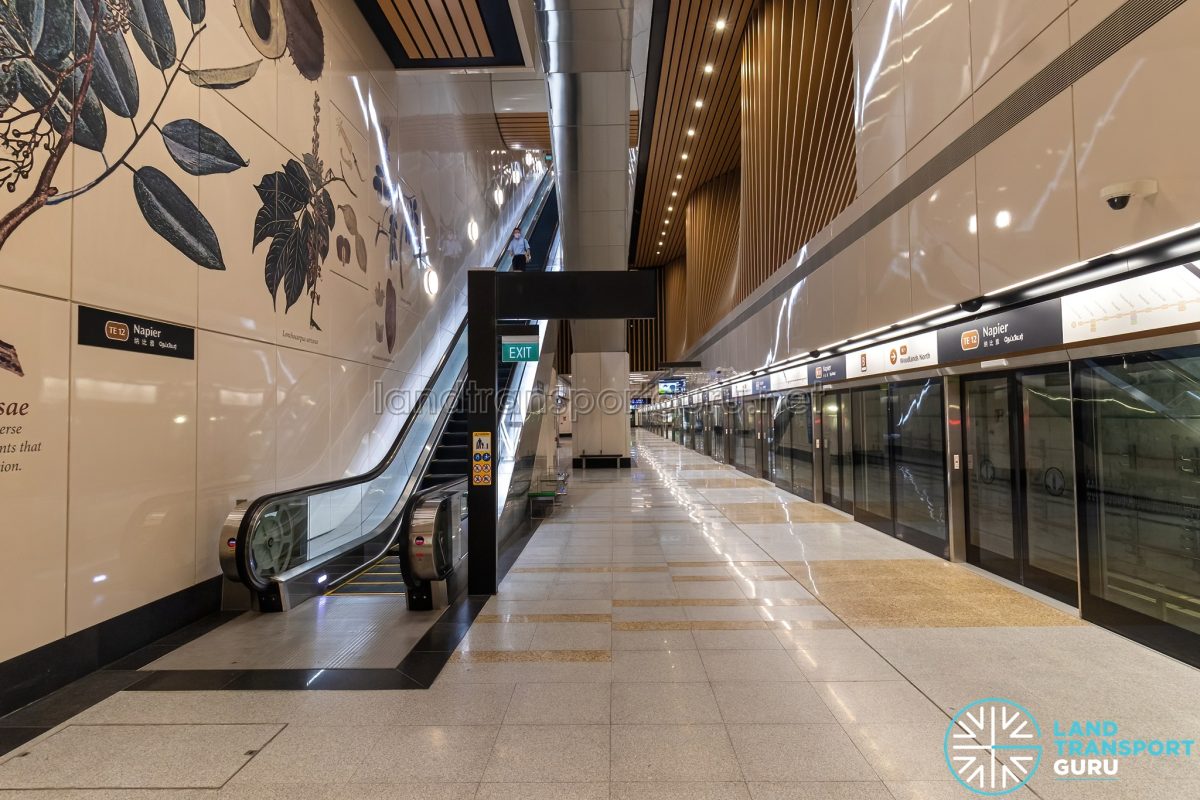 Napier MRT Station | Land Transport Guru