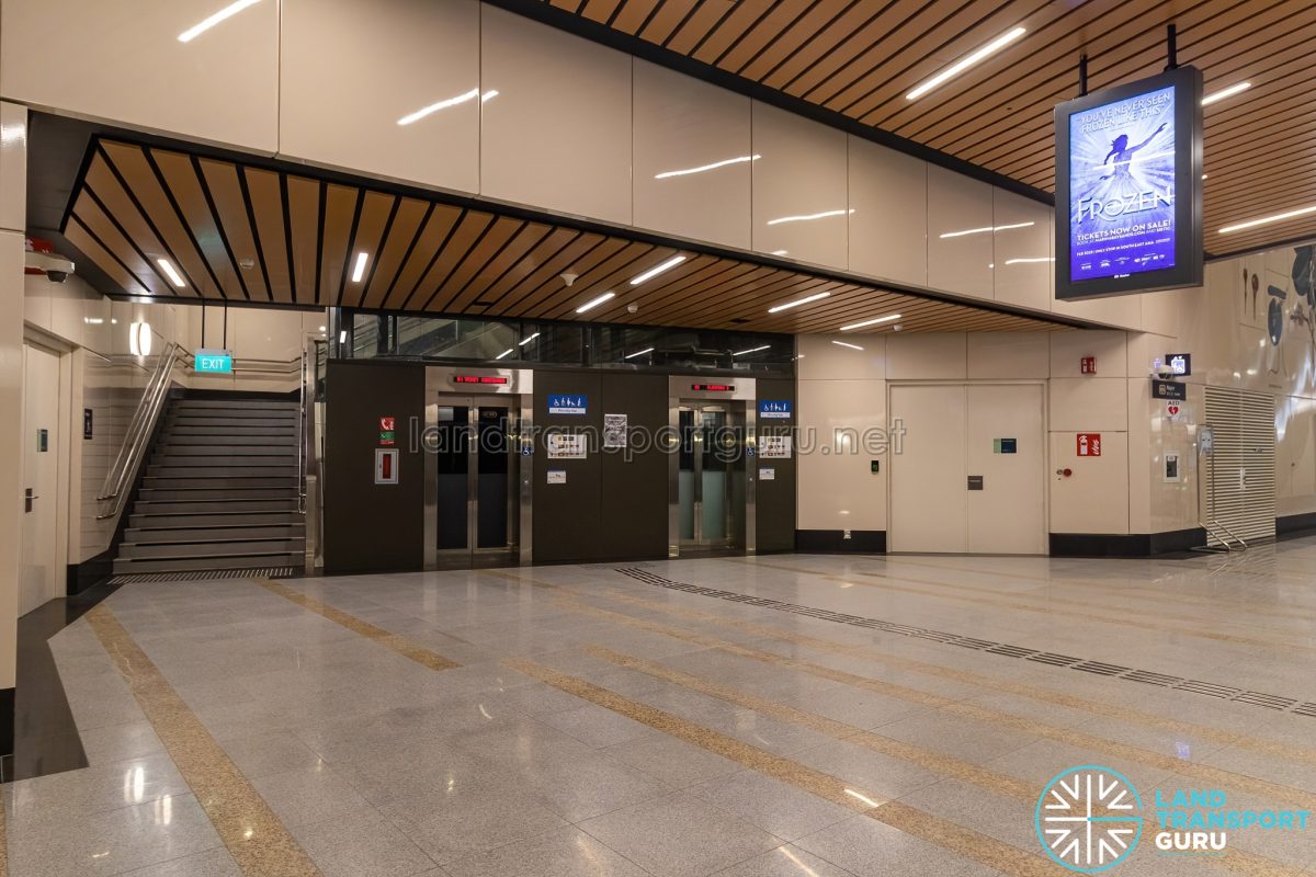 Napier MRT Station – Lift to Ticket Concourse Level | Land Transport Guru