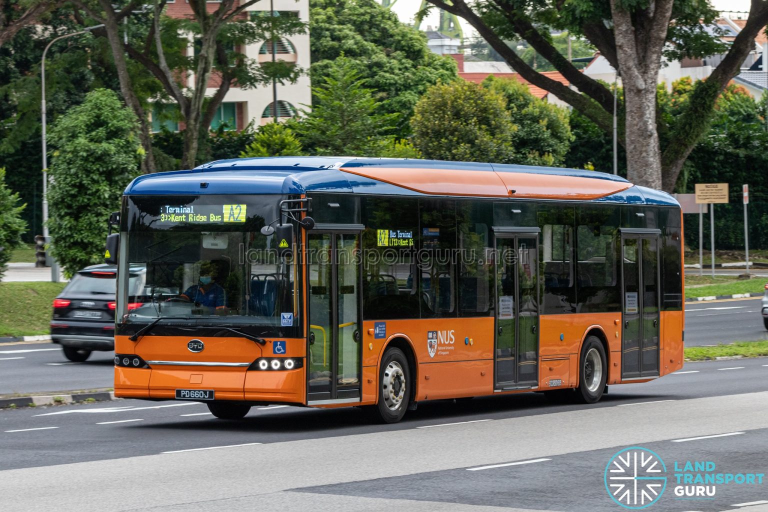 NUS ISB A2 – ComfortDelGro Bus BYD B12A03 (PD660J) | Land Transport Guru