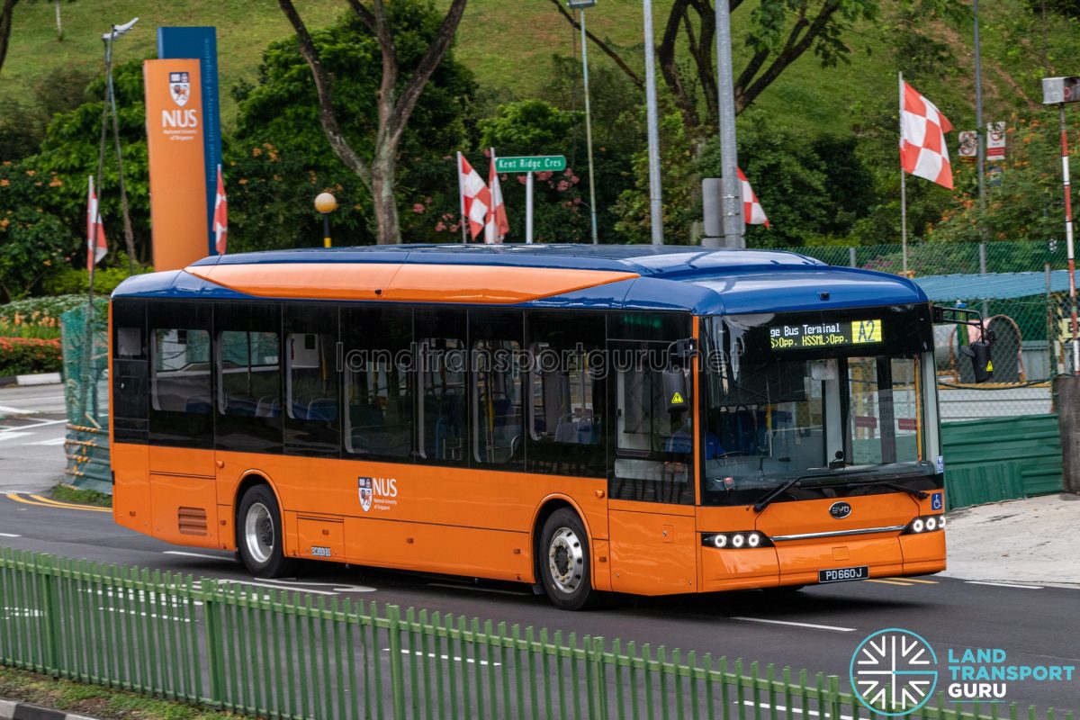 NUS ISB A2 – ComfortDelGro Bus BYD B12A03 (PD660J) | Land Transport Guru