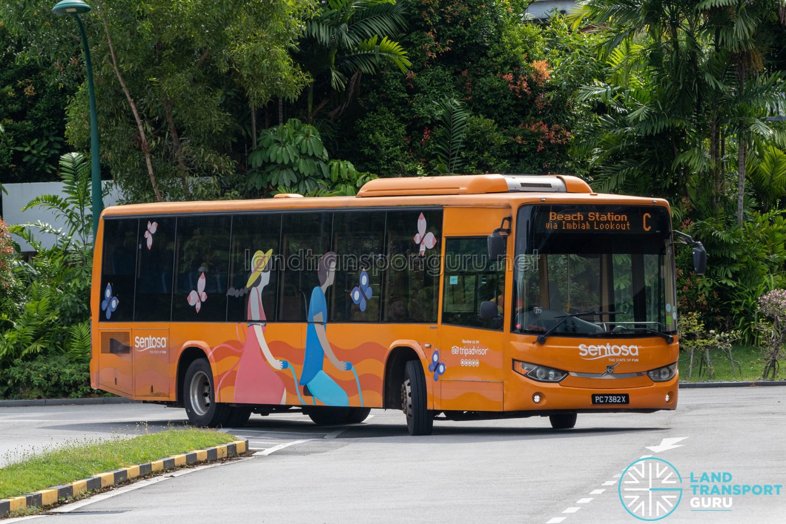 Tower Transit Awarded Contract to Operate & Maintain Sentosa Bus ...