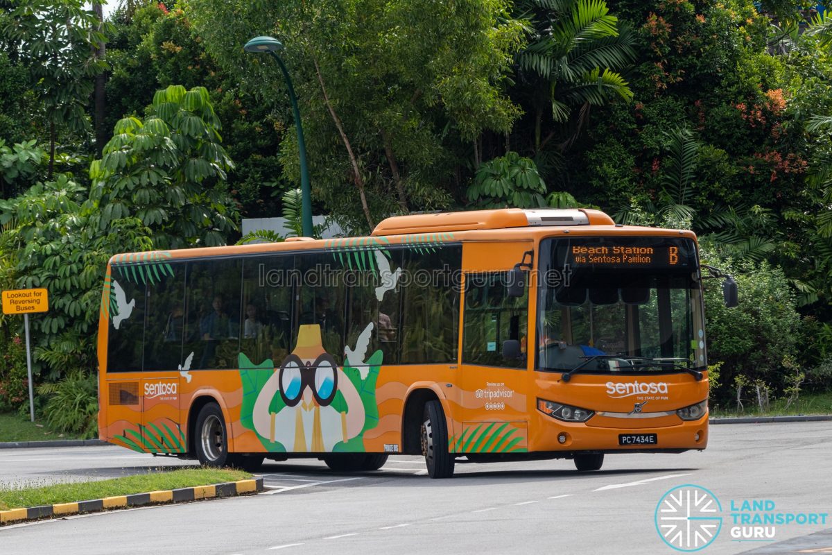 Sentosa Bus B | Land Transport Guru