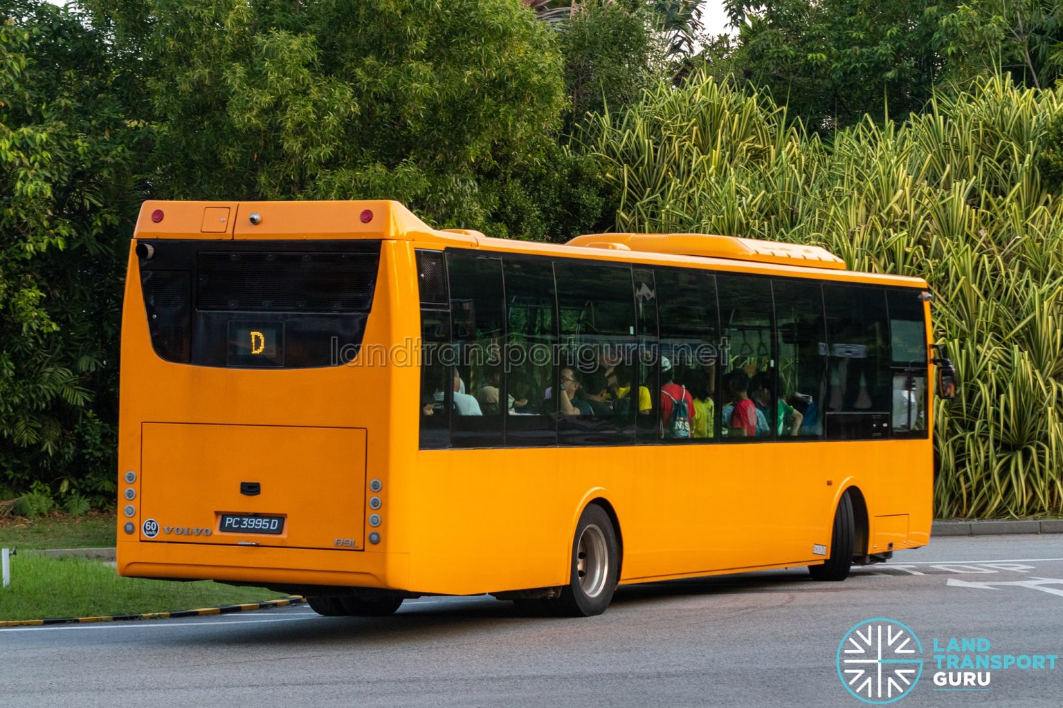 Sentosa Bus Services | Land Transport Guru