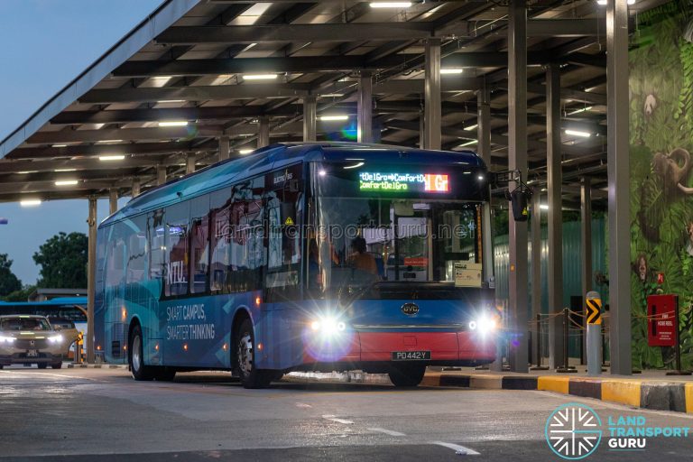 Mandai Khatib Shuttle – ComfortDelGro Bus BYD B12A03 (PD442Y) | Land ...