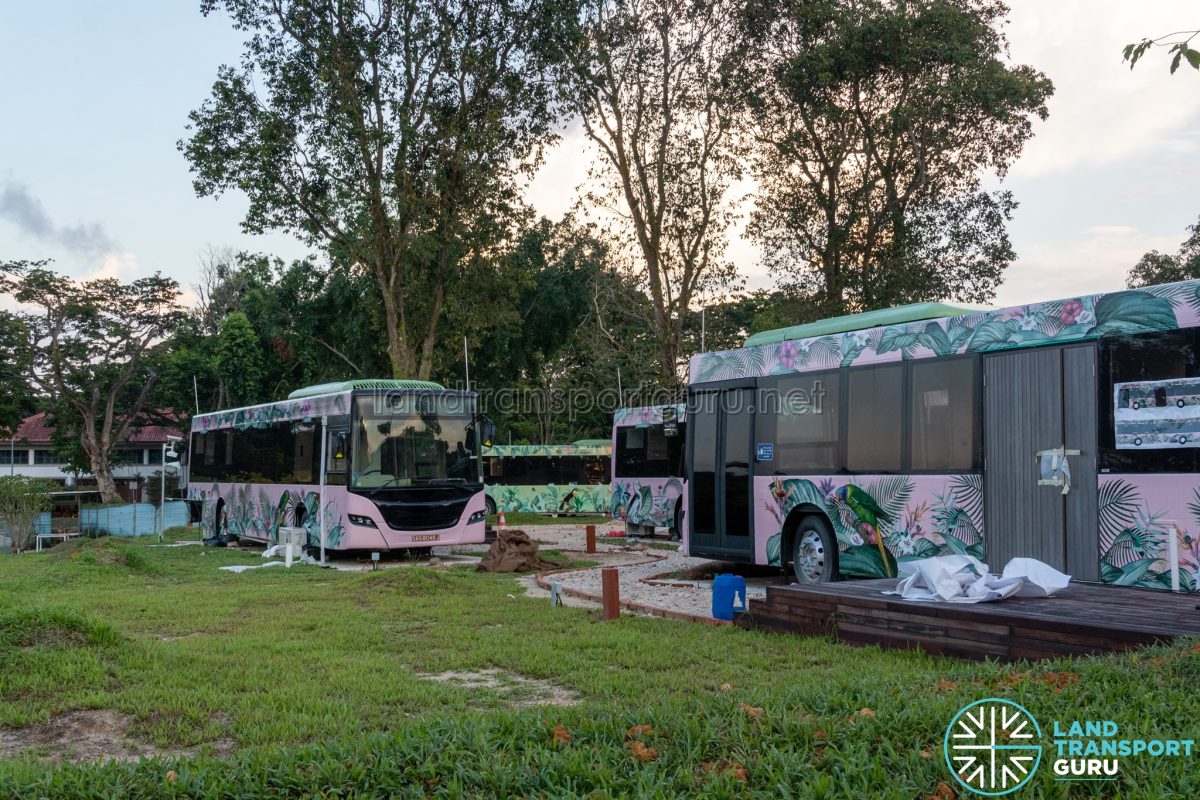 The Bus Collective | Land Transport Guru