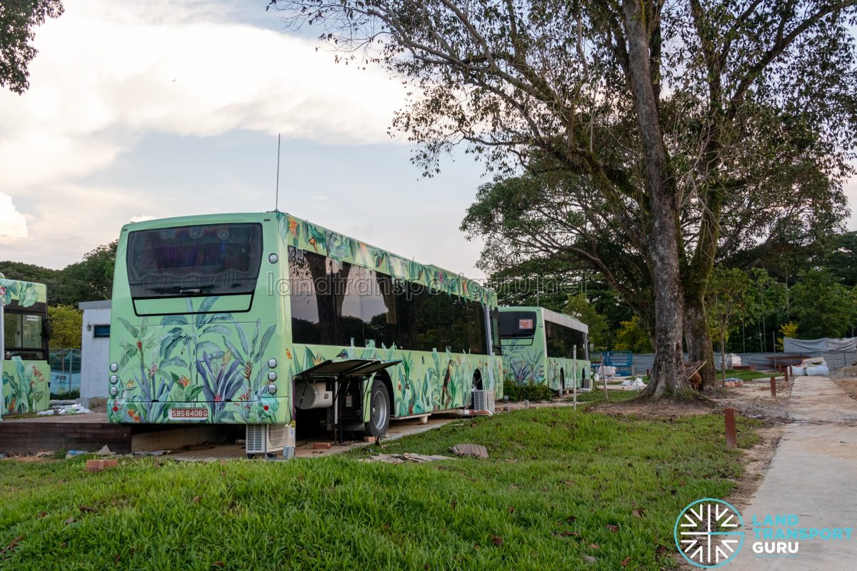 The Bus Collective | Land Transport Guru