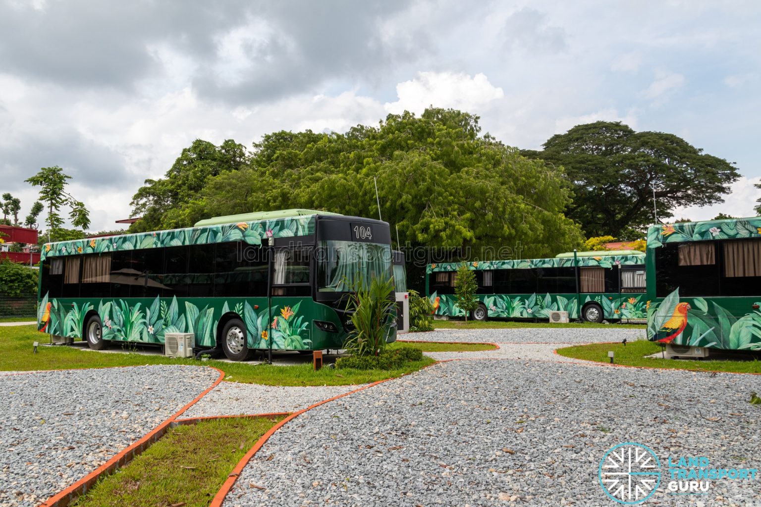 The Bus Collective | Land Transport Guru