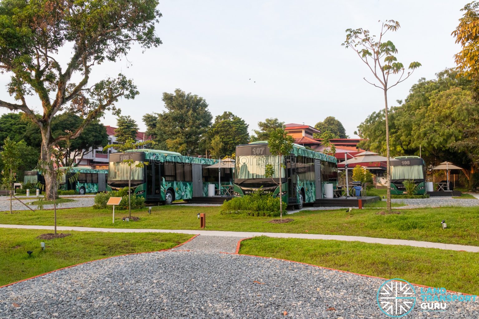 The Bus Collective | Land Transport Guru