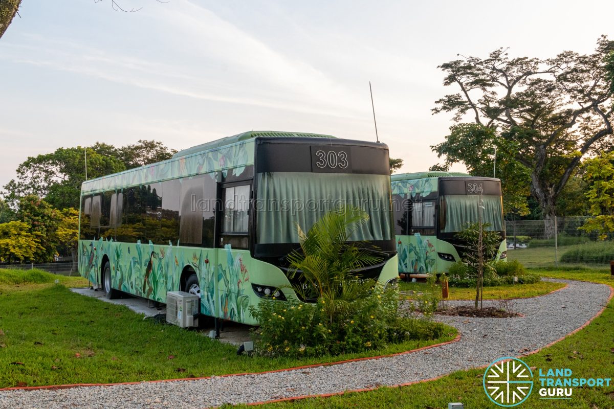 The Bus Collective | Land Transport Guru
