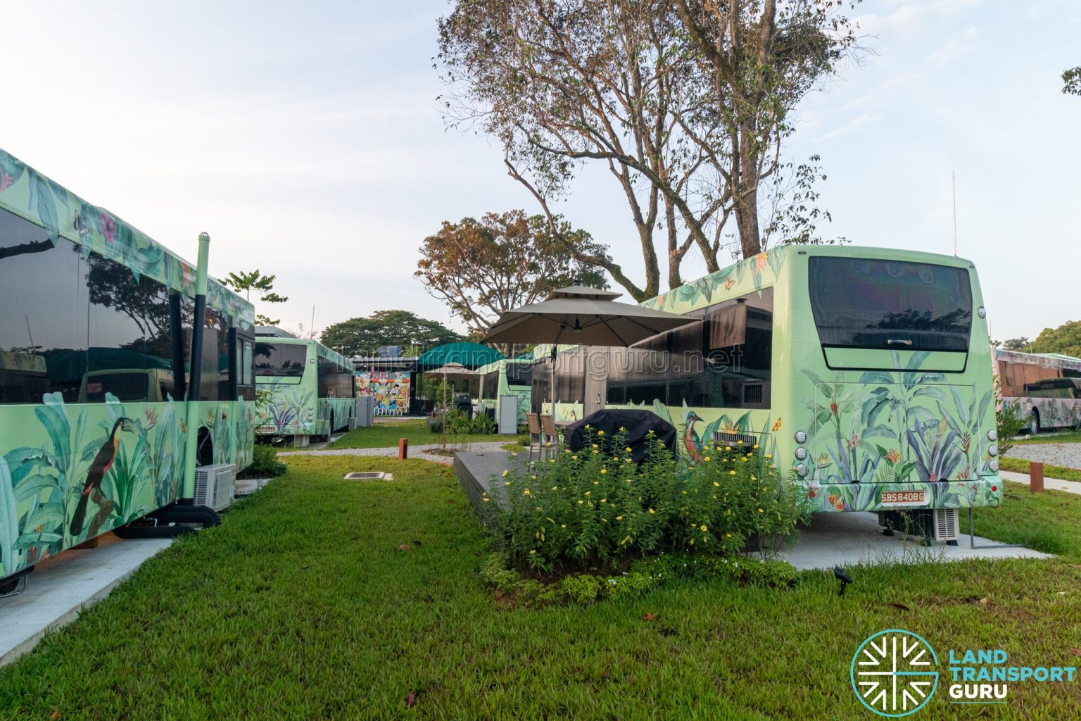 The Bus Collective | Land Transport Guru