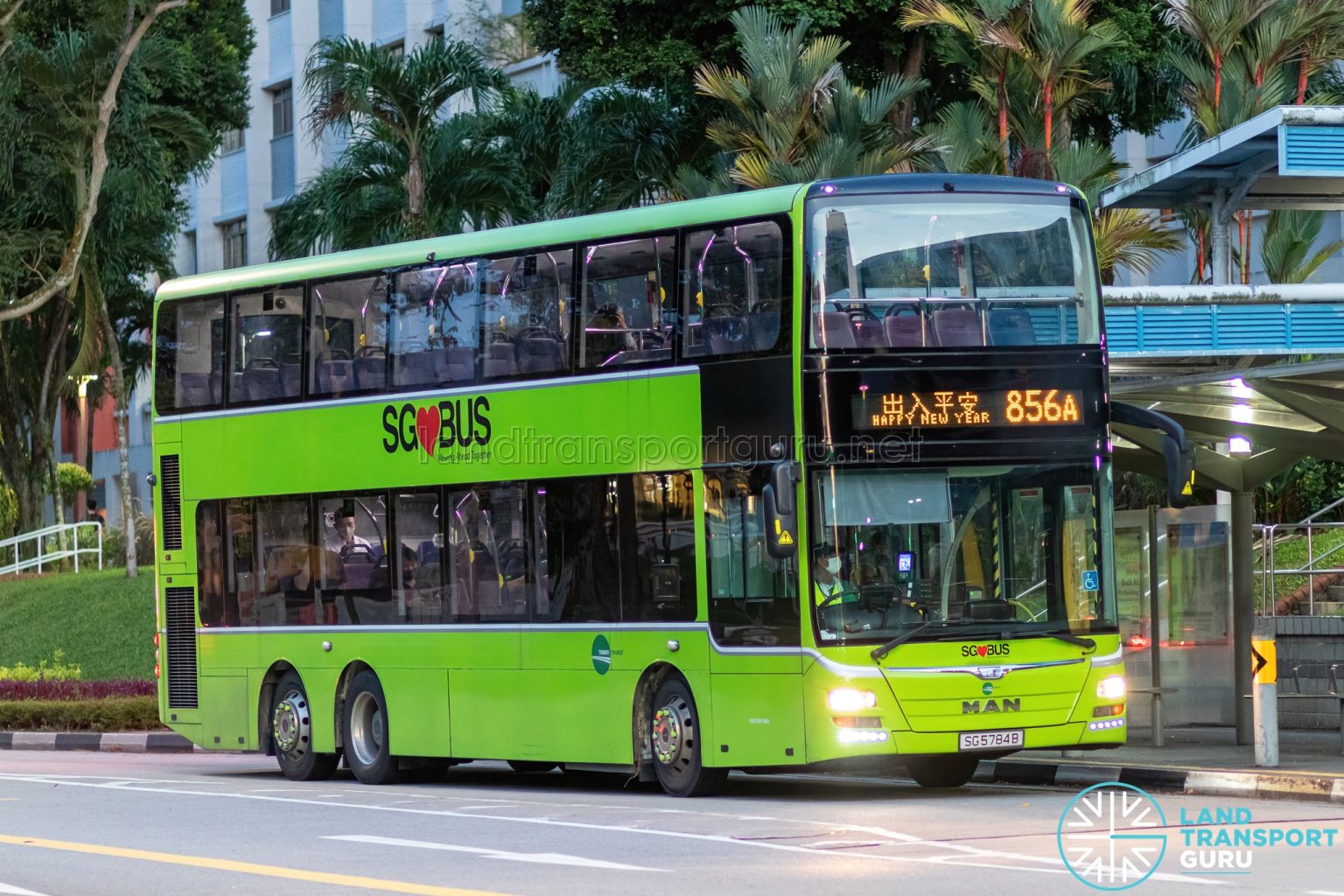 Tower Transit Bus Service 856A | Land Transport Guru