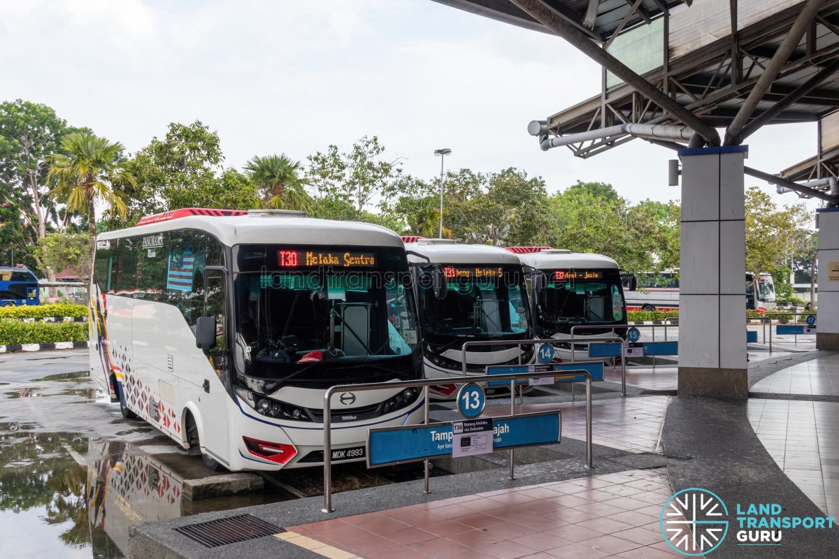 SBST Melaka buses at Melaka Sentral Terminal | Land Transport Guru