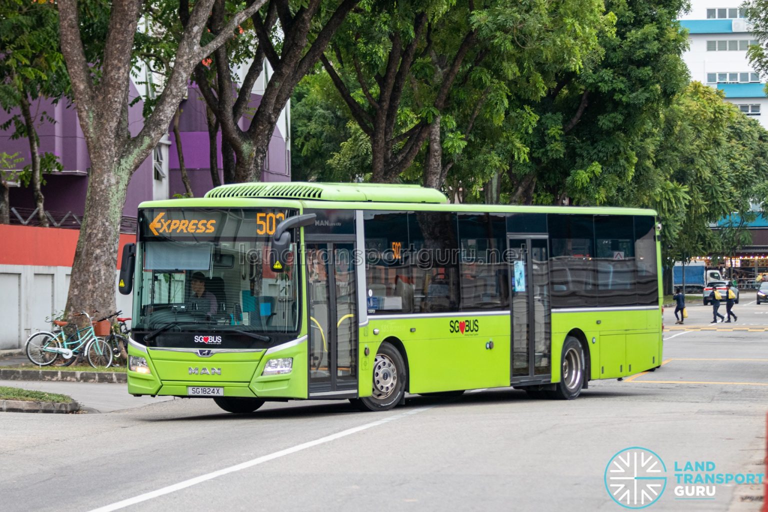 Bus 502 – SBS Transit MAN A22 Euro 6 (SG1824X) | Land Transport Guru