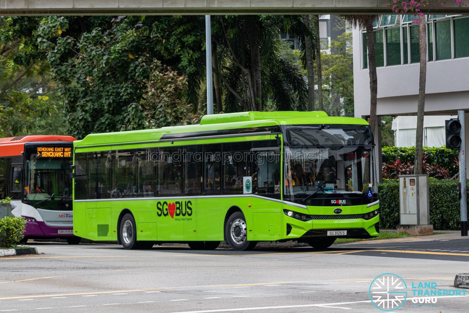 BYD BC12A04 | Land Transport Guru