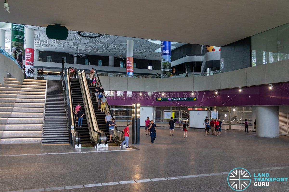 2024 Year in Review | Land Transport Guru