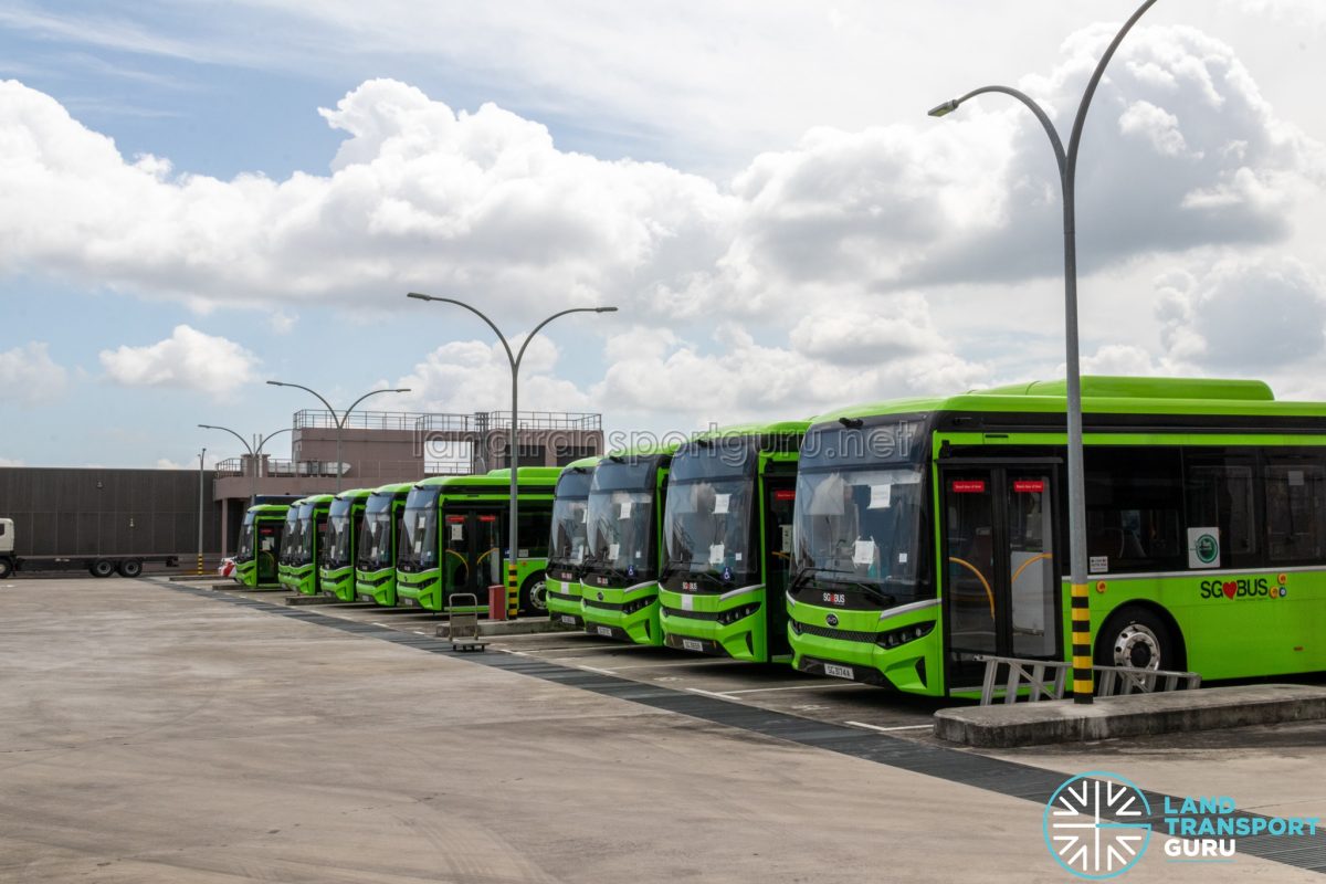 BYD BC12A04 pre-delivery in Singapore (Jan 2025) | Land Transport Guru