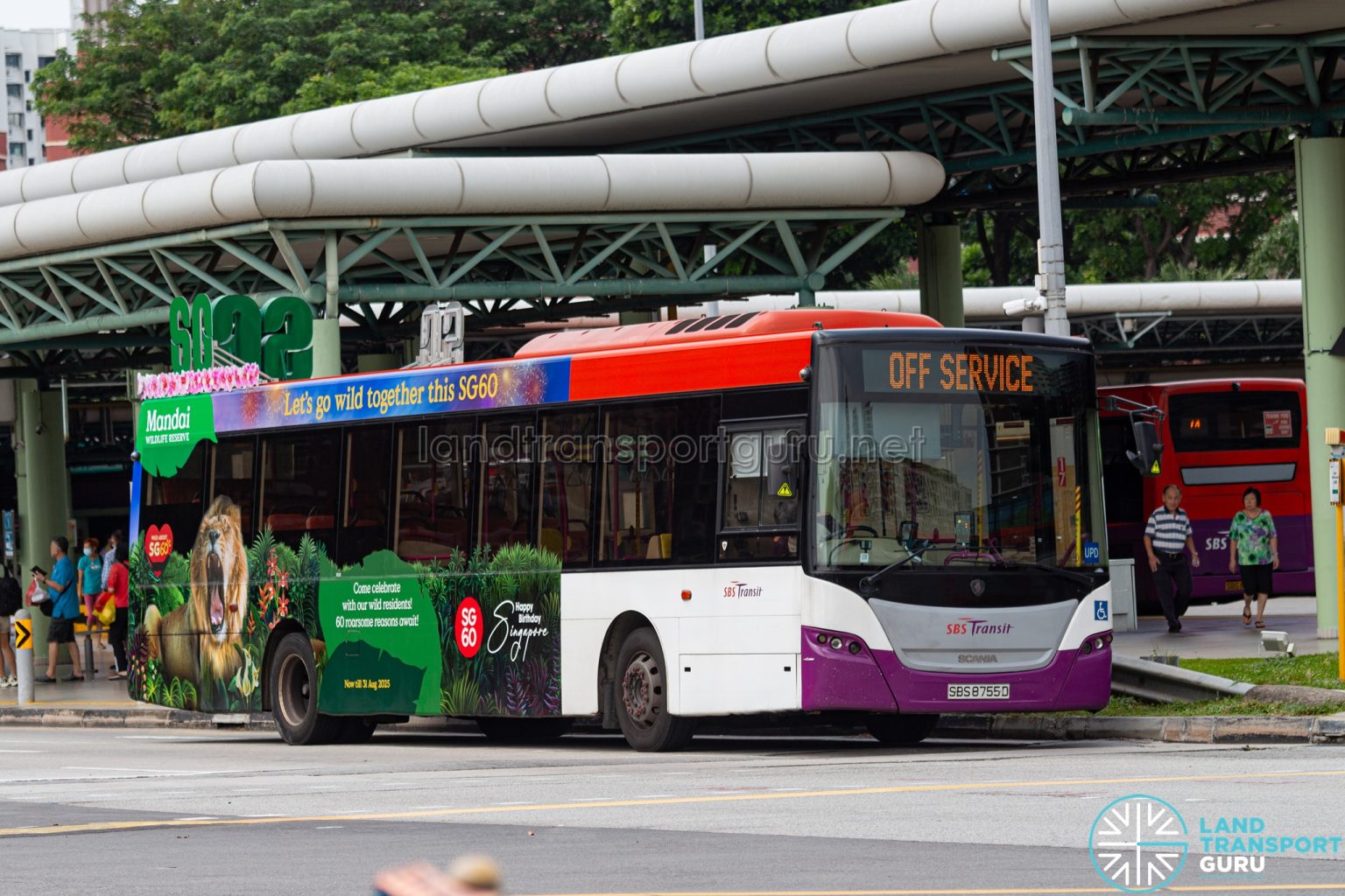 SG60 Bus Advertising Campaign | Land Transport Guru