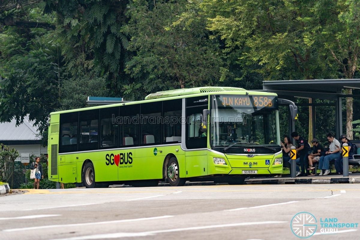 Bus 858B – Tower Transit MAN A22 (SG1831A) | Land Transport Guru